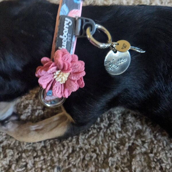 Flower Power Dog Tag, Daisy Dog Tag, Pet Id Tag, Personalized Dog Tag ...