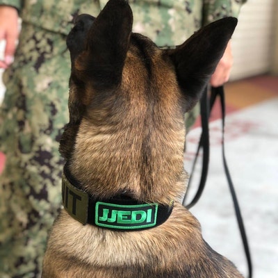 Stay Gold Glitter Patch - Etsy