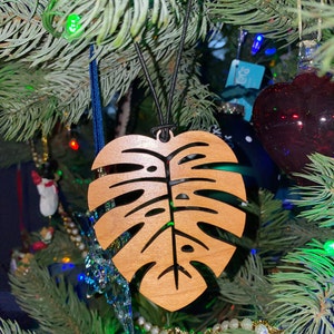 Mason Jar Plant Propagation frog Lid Inserts | Etsy