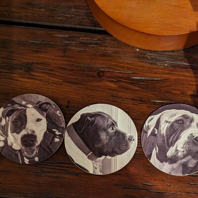 36 Slot Retail Sticker Display Customized Personalized Display Fair ...