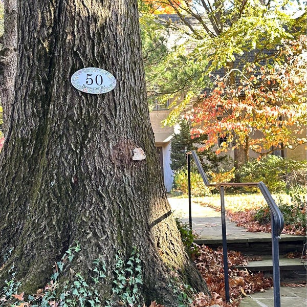 Custom House Number Arrow Sign, Personalized Address Sign With ...