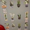 Modern Boho Plants Birthday Display Rustic Boho Classroom Decor ...