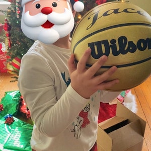 Customized Personalized Wilson Evolution Basketball Indoor Sizes 29.5 ...