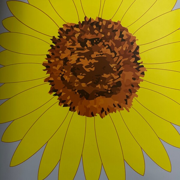 Episode 1 - the Phantom Menace/star Wars Movies/each Episode Opening ...