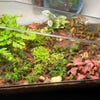 Waterproof 18 Inches Geometric Terrarium Galaxius - Stunning Parametric ...