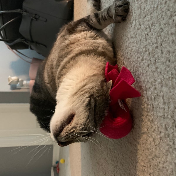 Catnip Filled Toys for Cats "knotty Nip" Made by Simply B Vermont - Etsy
