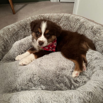 Adult Headband 2000s Style Headbands for Women Yoga - Etsy