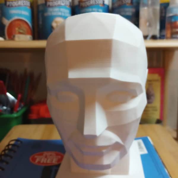 7" 17.78 Cm Planar Head, Planar Bust, Learn the Planes of the Head ...