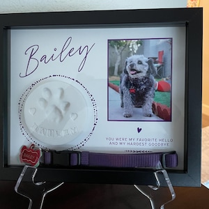 Pet Memorial Paw Print Holder Shadow Box, Two Paw Prints, Pet Loss ...
