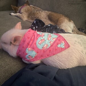 Pet Neck Scarf Dog Neck Warmer Puppy Scarf Winter Dog Scarf - Etsy