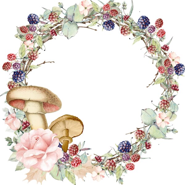 Print & Make Ephemera Folio A4 and Letter Belle Collection - Etsy