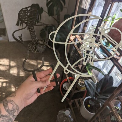 Plant Trellis Cebu Blue Pothos Plant Art Plant Decor - Etsy