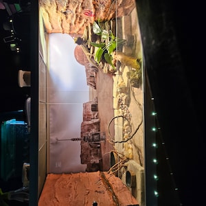 Movie Set Standard Terrarium Background - Etsy