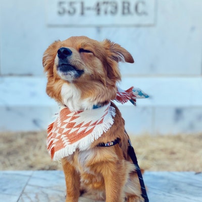 Curriculum Maps for Homeschooling Pre-k-10th Visual Lesson Planning ...