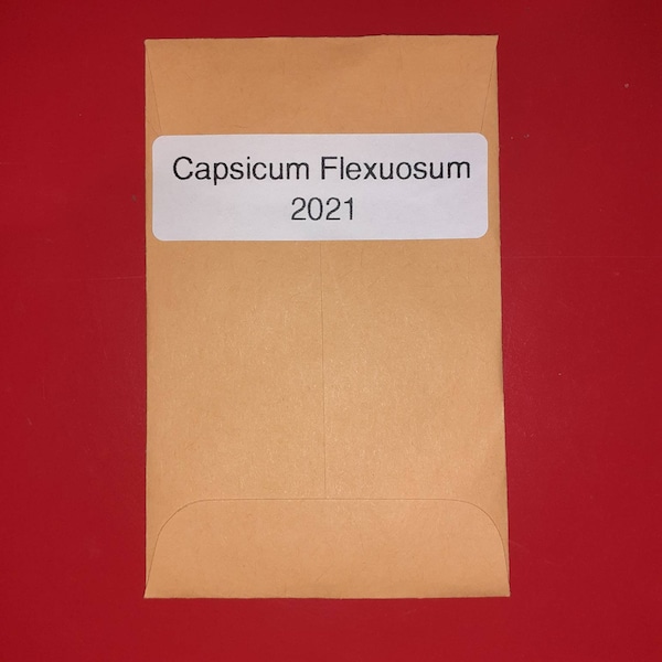 Cold Hardy Chili Pepper Seeds - Capsicum Flexuosum, Aka February Fire ...