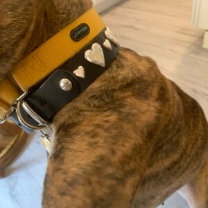 Dogla - Dogla - - Etsy