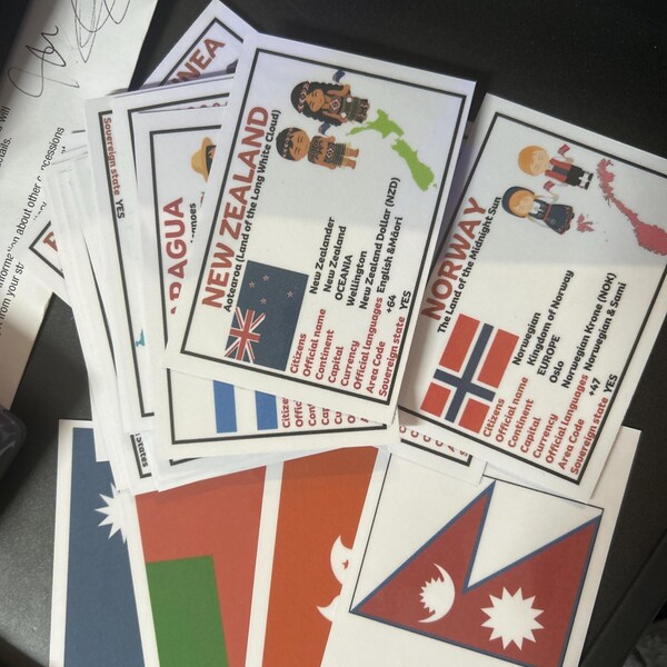 PRINTABLE Montessori Country Flags of the World Memory Flashcards | 201 ...