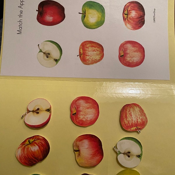 Apple Counting 1-10 Numbers Printable Preschool Montessori Busy Book ...