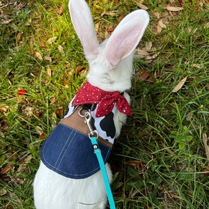 Cowboy Hat for Pet Bunny Rabbit and Other Small Pets - Etsy