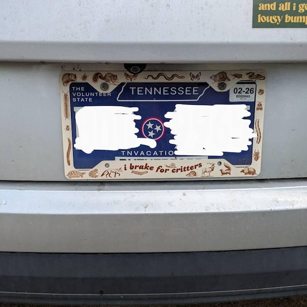 Insects License Plate Frame - Entomology Entomologist Car Truck Gift ...