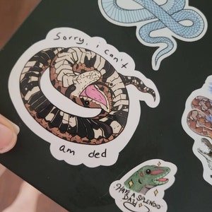 Hognose Snake Dramatic Playing Dead Funny Reptile Vinyl Sticker - Etsy