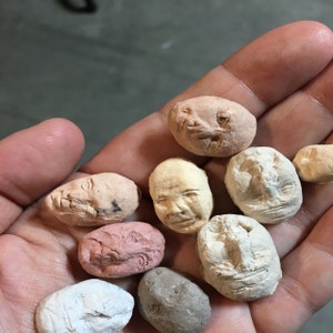 5 Sprouting Seed Faces Plantable Paper With Edible Sprouts - Etsy