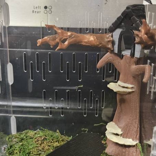 3D Printed Tree Bookshelf Jumping Spider Hide/decor - Etsy