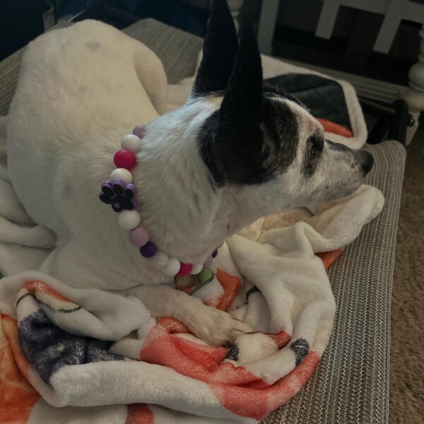 Indoraptor Sticker: Jurassic Park Dinosaur Decal, Waterproof Vinyl - Etsy