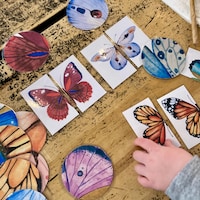 Count and Match Ladybug Printable Activity for Toddlers Preschool ...