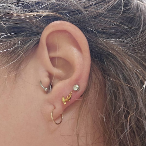 Dainty Sun Daith Ring, Hinged Clicker Hoop, 16ga 8mm or 10mm, Unisex ...