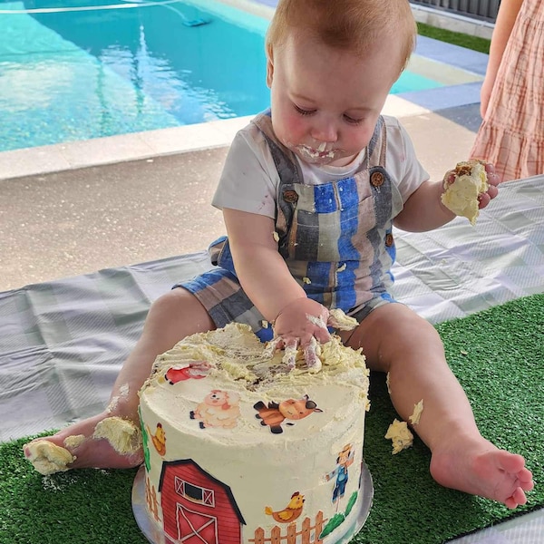 Cake Scene Pre-cut Barnyard Friends, Farm Cake Topper, Pink Barnyard ...