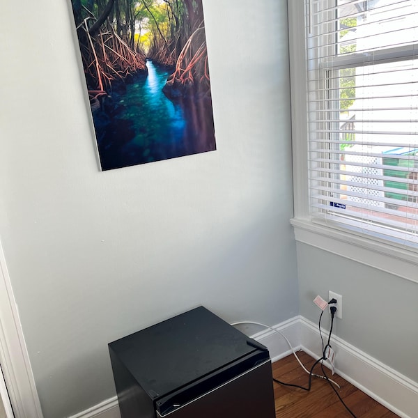 Ocean Coral Reef Set of 4 Art Prints Nature Aquatic Wall Art Bright Vibrant Relaxing Colorful ...