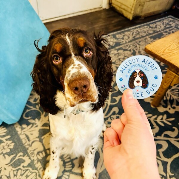 Stickers - Assistance Animals Save Lives - Personalize - I Met an ...