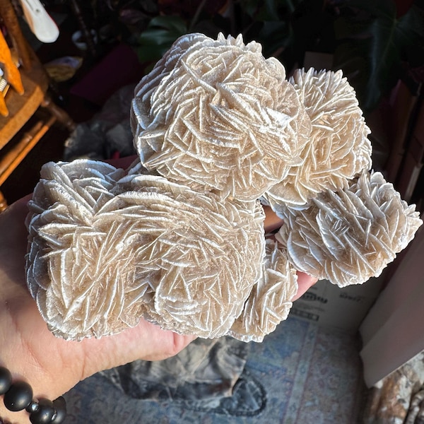 Raw Desert Rose Selenite Cluster - Raw Gypsum Desert Rose Cluster ...