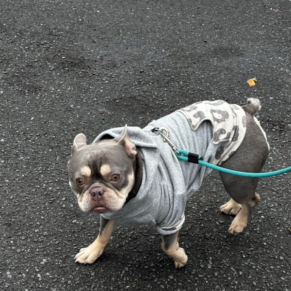 Cotton Library Books Book Stack Stacks Libraries Librarian Multi Cotton ...