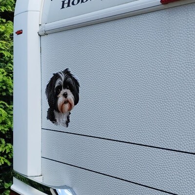 Funny Different Dog Breeds Car Decal Dog Sticker - Etsy