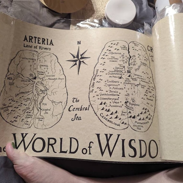 Brain Hand Drawn Map - Etsy