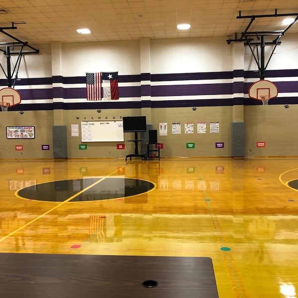 Classroom Line up Dots / Paw Prints / Classroom Decor / Floor Dot ...