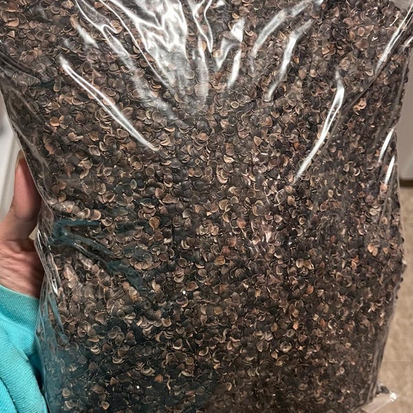 Bulk Buckwheat Hulls - Etsy