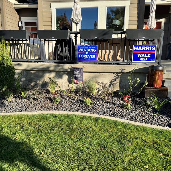 Elastic Bow Ribbon for Gift Box Ribbon for Gifting Presents Ribbons for ...