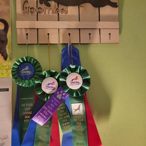 Set of 12 Paw Print Snowflakes Handmade Snowflake Ornament - Etsy