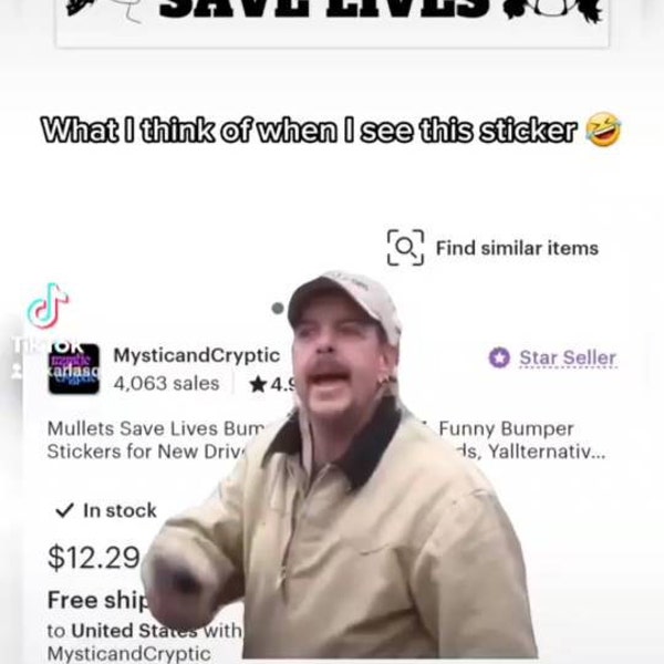 Mullets Save Lives Bumper Sticker Gen Z, Funny Bumper Stickers for New ...