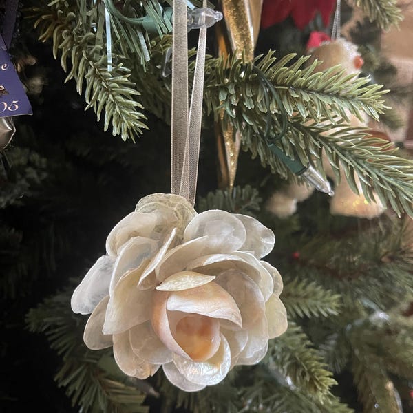 8x10 Scallop Shell Heart Art - Handcrafted Coastal Wall Decor - Unique ...