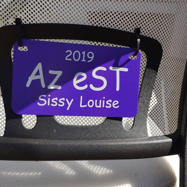 Custom Wedding License Plate or Car Tag for Bride and Groom! Our Custom ...