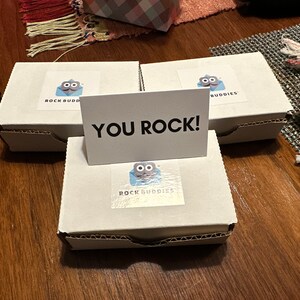 Rock Buddy BOY, Gag Gift, Rock Buddies, Funny Gift, Rock Pet, Anonymous ...