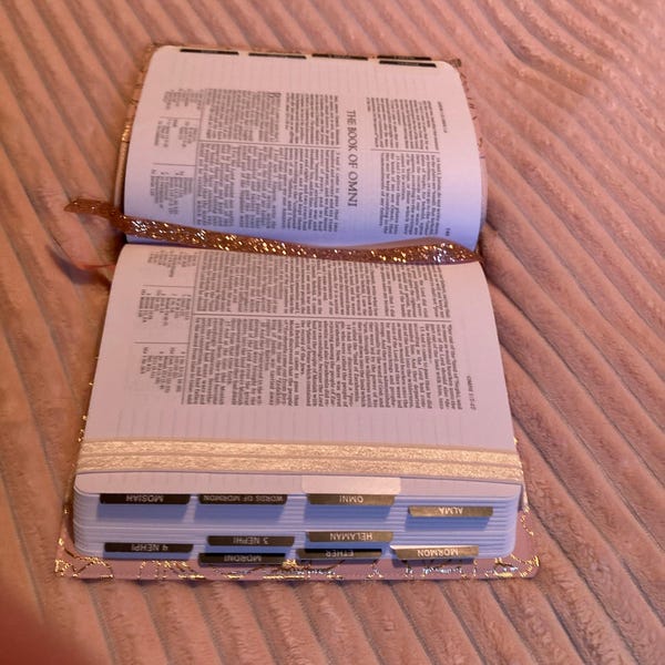 Bright Pink Regular Size LDS Quad Simulated Leather With Salt Lake ...