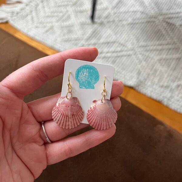 Seashell Frog With Fan, Frog Figurine, Seashell Art, Sanibel Island ...