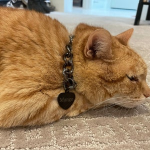 Chain Cat Collar, Medium Cuban Link Cat Necklace, Lightweight Cat ...