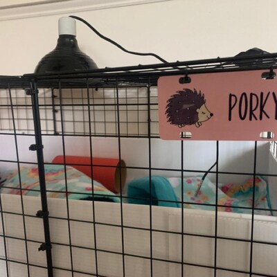 Personalized Hedgehog Name Plate / Hedgehog Sign / Cage Accessory ...