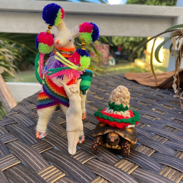 Mariachi Sombrero Turtle/tortoise Costume - Etsy